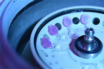 Research Programs | Simon Cancer Center | IU School of Medicine