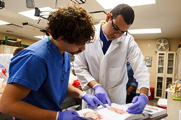 Masters | Graduate Degrees | IU School of Medicine