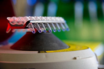 Medical Neuroscience Graduate Program | Stark Neurosciences Research ...